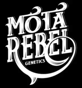 Mota Rebel Genetics 7 Strains