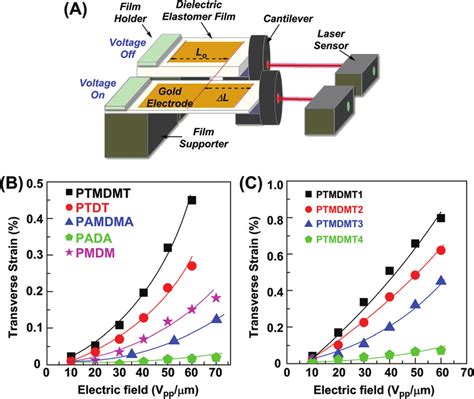 A Illustration Of The System For The Measurement Of The Transverse Download Scientific