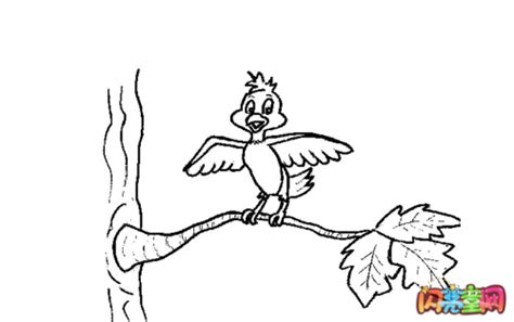 鸟儿在树上筑巢简笔画 简笔画图片大全 普车都