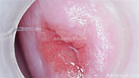 Cervix 4k Magnified Vagina Clit Urethra And Dirty Talk Adulting