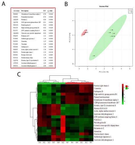 Proteomic Profile A List Of The Differentially Expressed Proteins