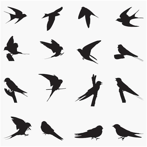 Ilustración de siluetas de golondrina común Vector Premium