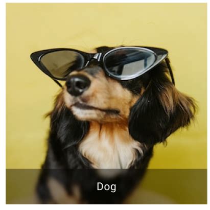 Html How To Make An Image Partially Blurry In Css Stack Overflow