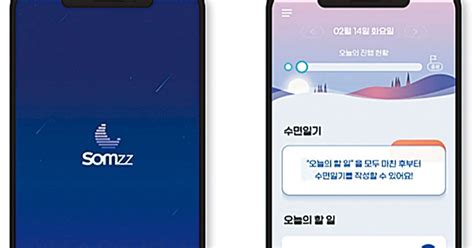 첫발 뗀 디지털 치료제 ‘중복 임상 규제에 건보적용 4년 걸려