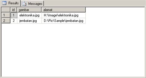 belajar aplikasi visual basic 2008 save dan load file gambar