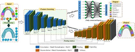 Figure From Automatic Classification And Segmentation Of Teeth On D