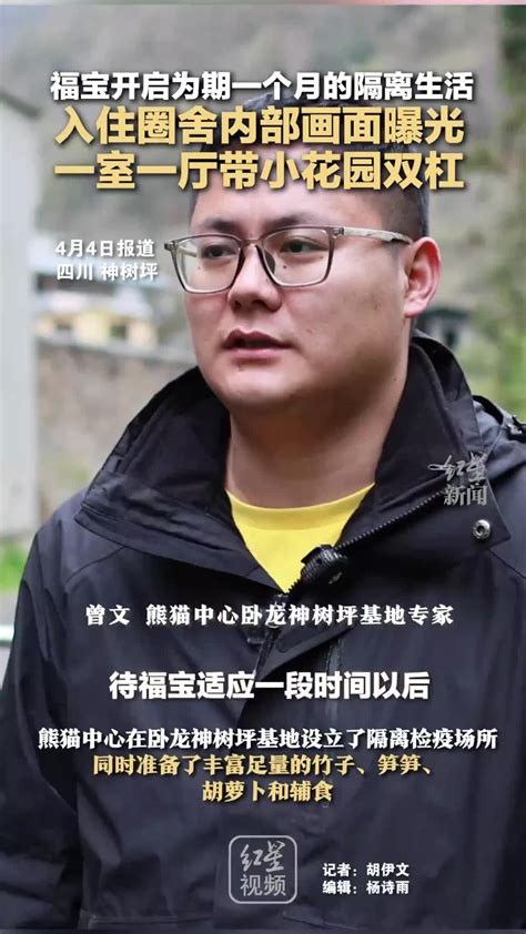 福宝开启为期一个月的隔离生活，入住圈舍内部画面曝光，一室一厅带小花园双杠