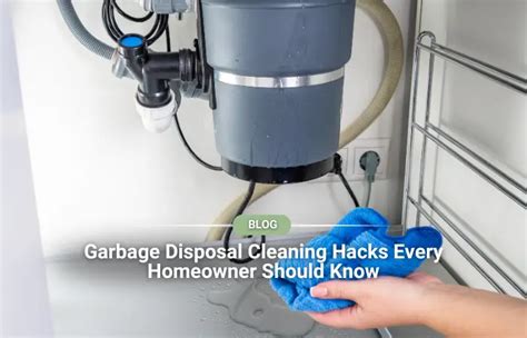 Garbage Disposal Cleaning Hacks Every Homeowner Should Know Plumbing Sniper