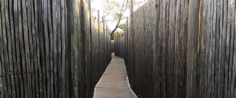 Hide Guide Safari Tips For Safari Travel The Safari Store