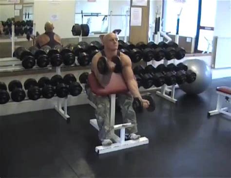 Db Preacher Curl