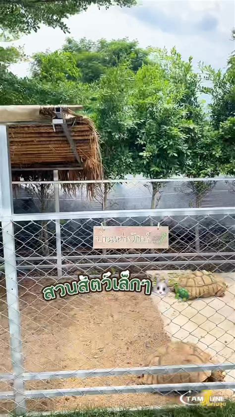 ตามจูน ตามจูน รีวิวคาเฟ่เด็กในหล่มสักให้หน่อยค่ะ ️ Facebook