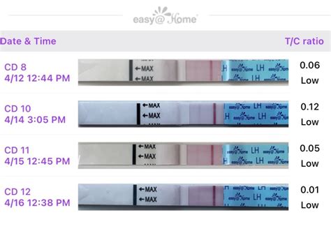 Easy Home Ovulation Test Results Mumsnet