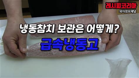 냉동참치 보관은 급속냉동고 Youtube