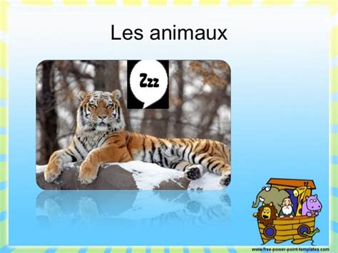 Les animaux FLE