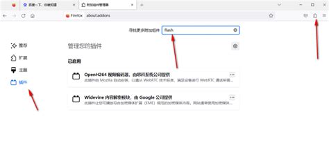 what should i do if firefox does not have the flash plug in browser php cn