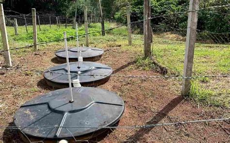 Uso De Tecnologias De Saneamento Fez Com Que Produtores Rurais