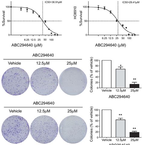 Abc294640 Treatment Inhibited The Proliferation Of Eoc Cell Lines A
