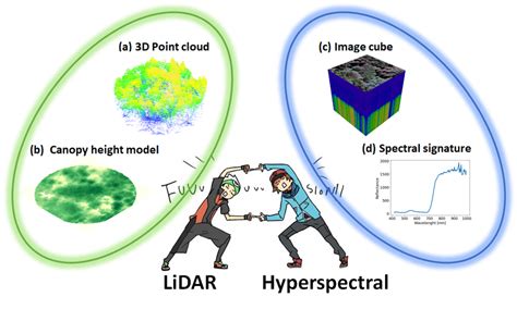 9 Data Fusion Of Lidar And Hyperspectral Data A 3d Point Cloud From
