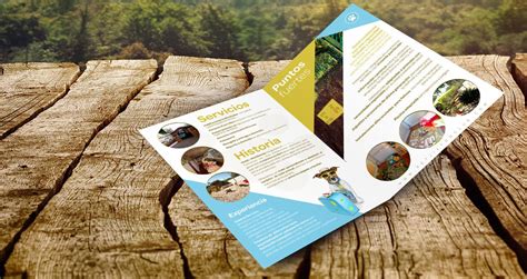 Diseño de dípticos y trípticos Petjilton Club Cerotec