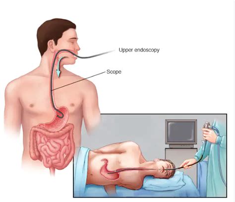 Meditsimple Launches A New Centre Of Excellence For Gastroenterology