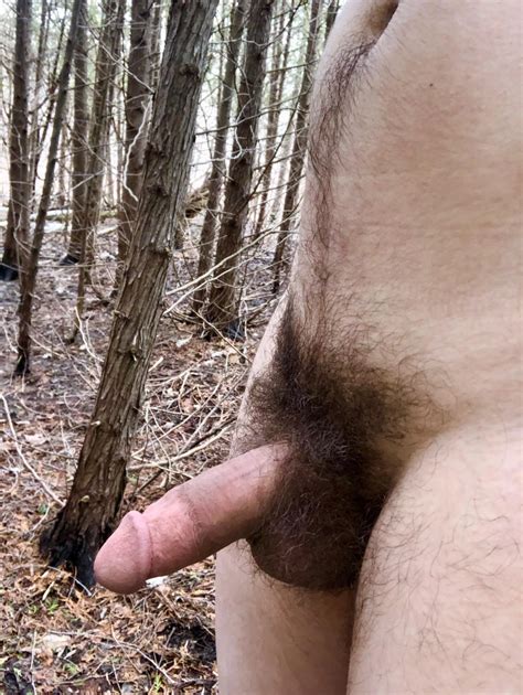 2 Forests In This Pic Nudes By Still Hawk7572