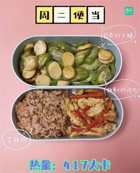 分享几款适合上班族的211饮食便当 瘦圈 广州瘦吧网络科技有限公司