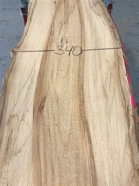 Spalted Elm 089 ⁄ Elephant Timber Supplies
