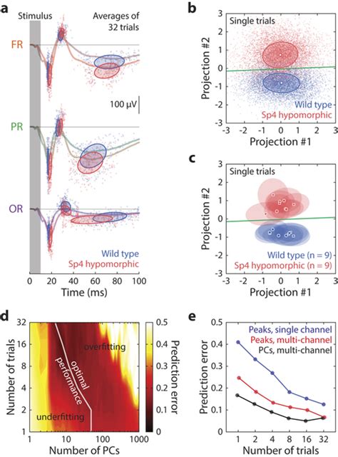 Characterizing Time Domain Erp Signatures Unique To The Mouse Model