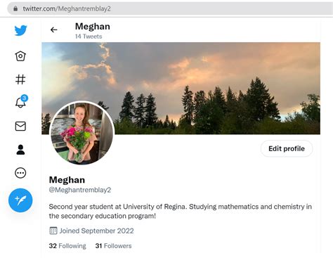 Is Twitter The Future Meghan Tremblay