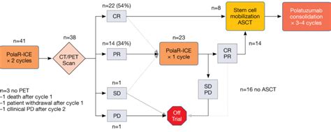 New Approaches In Relapsed And Refractory Dlbcl