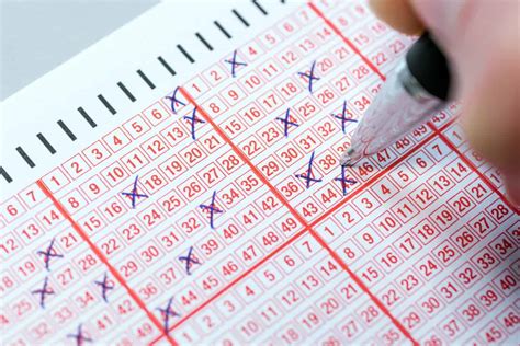 Daily Lotto Results Saturday 10 August 2024