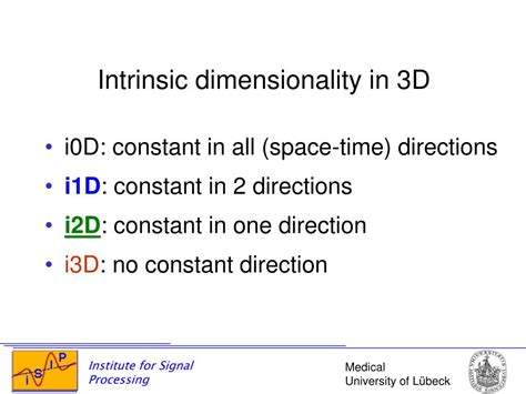 Ppt Nonlinear Visual Coding From An Intrinsic Geometry Perspective Powerpoint Presentation
