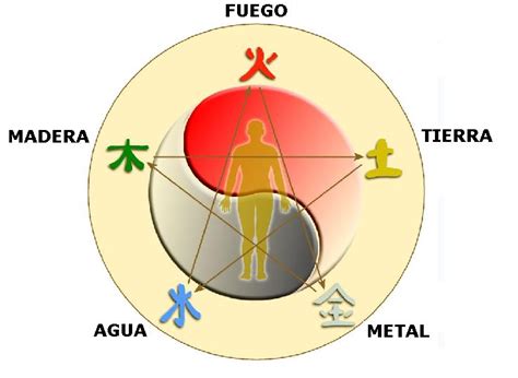 QUE ES LA MEDICINA TRADICIONAL CHINA Centro de Cirugía por Endoscopia