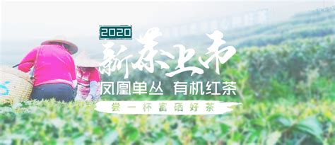 暨创硒源 纳米硒 科学补硒专家