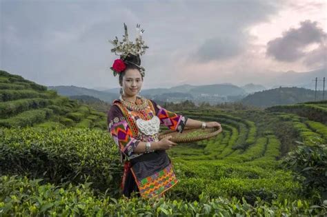 助力乡村振兴，2022贵州丹寨小镇茶园公益认领启动茶叶茶树产业