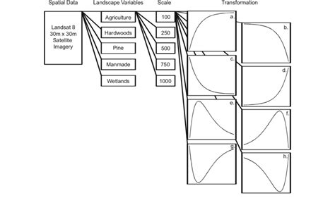 Depiction Of Landscape Classification And Optimization For Scale And Download Scientific
