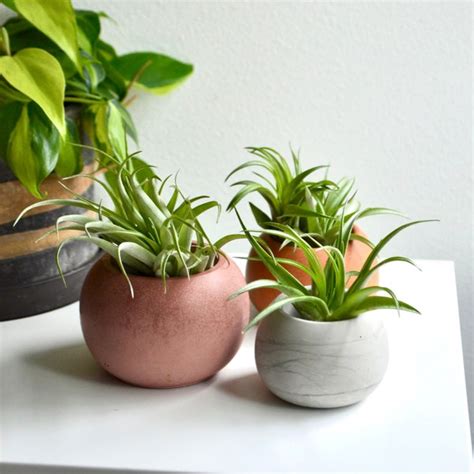 Ceramic Garden Globe Etsy