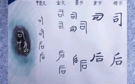 68 汉字演变 司 母戊鼎还是 后 母戊鼎 青青汉字 青青汉字 哔哩哔哩视频