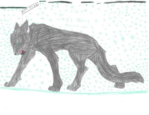Jays Wing Warrior Cats