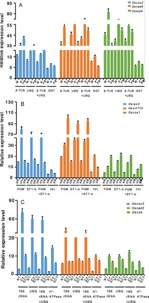 Nucleic Acid Synthesis Plos One