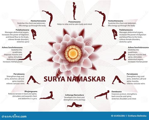 Yoga Infographics Surya Namaskar Sequence Stock Vector Illustration