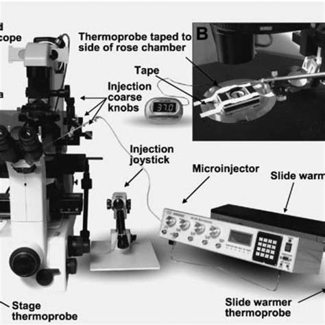 1 The Microinjection Setup Download Scientific Diagram