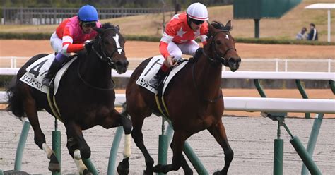 今週の重賞レース【共同通信杯g3】2022 当たると話題の競馬予想！