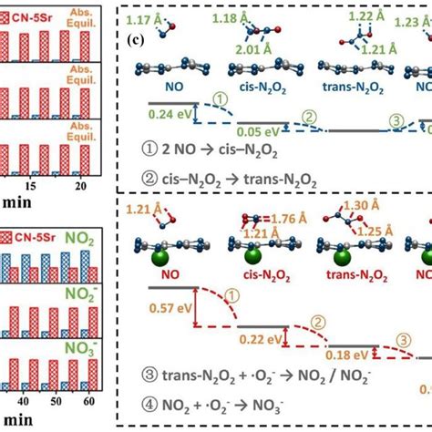 Species Evolution Of A Adsorption Process No Trans N 2 O 2 − And