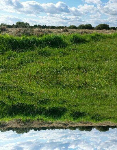 Mirroring Effect