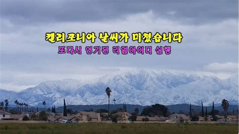 또다시 연기된 리얼 아이디 Real Id 실행 선인장이 눈을 만나면 일어나는 일 미친캘리포니아 겨울날씨 60여년 만에 찾아온