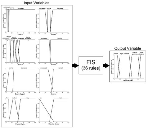 Schematic Representation Of The Fis For The Assessment Of The Leg