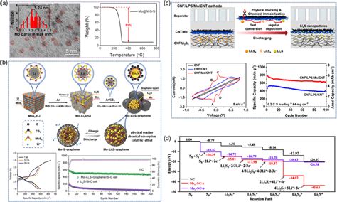 Mo‐based Metalsingle Atomscluster Used For Lis Batteries A Hrtem Download Scientific