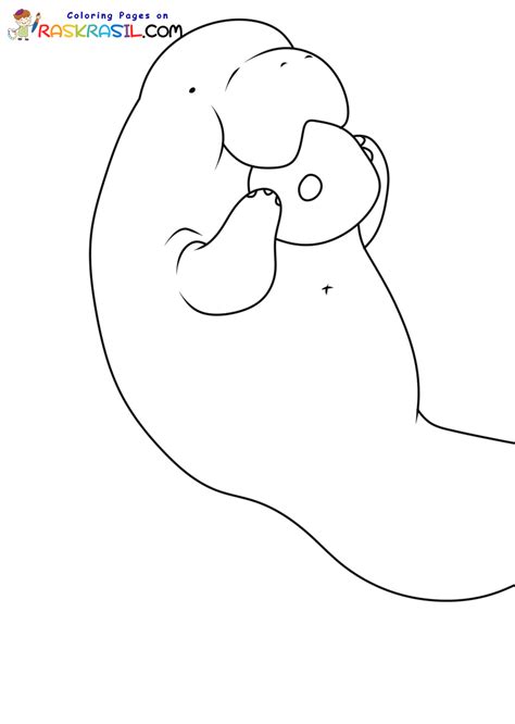 Dibujos de Manatí para Colorear