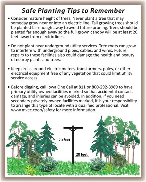 Tree Planting Safety Maquoketa Valley Electric Cooperative